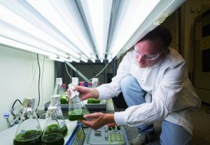 The Smart State: How Bioscience Revitalized Queensland, Australia